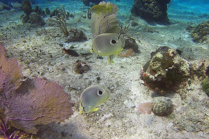 Discover Scuba Diving - Practical Details and Tips for Your Tour