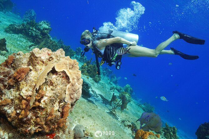 Discover Scuba Diving - Who Should Consider This Tour?