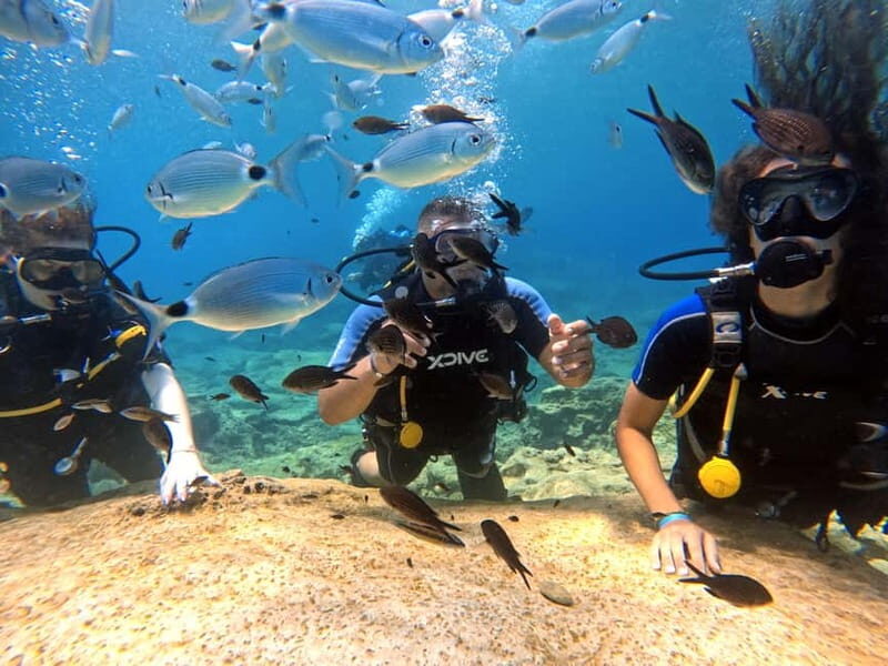 Discover Scuba Diving Experience - Why We Love the Discover Scuba Dive in Cyprus