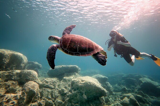 Discover Scuba Diving for Beginners - FAQ