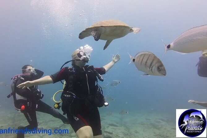 Discover Scuba Diving, free pictures included - FAQs