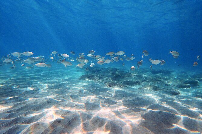 Discover Scuba Diving in Costa Calma - Discover Scuba Diving in Costa Calma: A Complete Guide