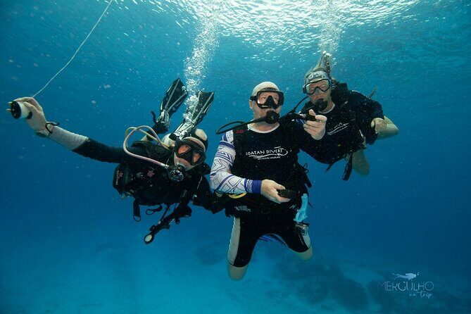 Discover Scuba Diving in Cozumel - Authentic Insights from Reviewers