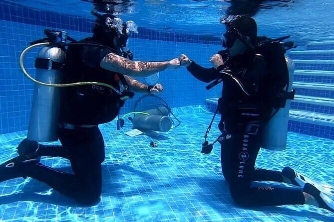 Discover Scuba Diving in Cozumel - Authentic Experiences from Travelers