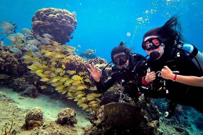 Discover Scuba Diving in Cozumel Paradise Reef - Practical Tips for Your Dive
