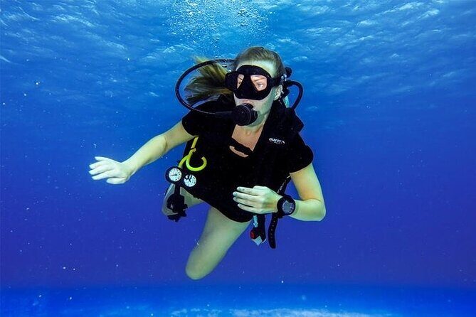 Discover Scuba Diving in Cozumel Paradise Reef - The Value of This Experience