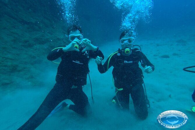 Discover Scuba Diving in Tenerife - The Value of This Experience