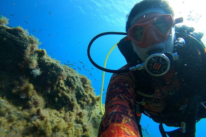 Discover Scuba Diving in Tenerife - Frequently Asked Questions