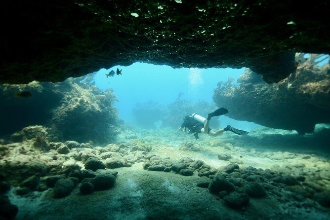 Discover Scuba Diving in Tulum - The Experience of the Guides and Staff