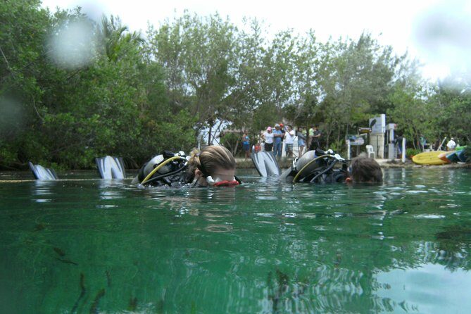 Discover Scuba Diving in Tulum - The Sum Up