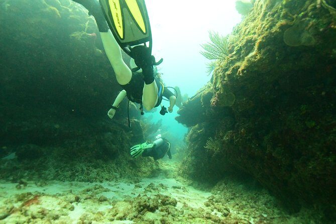 Discover Scuba Diving in Tulum - FAQ