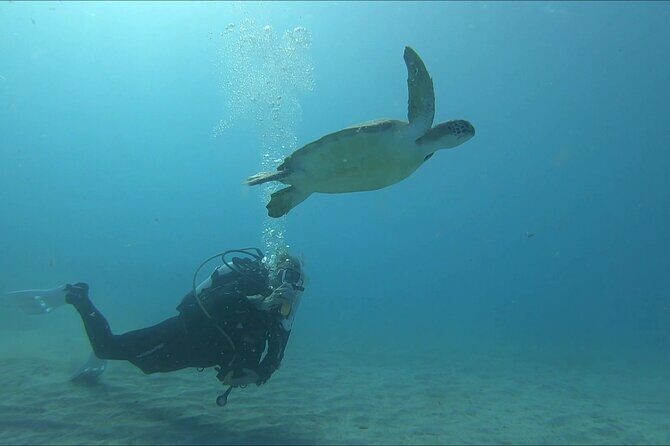 Discover SCUBA Diving with Pissouri Bay Divers - Practical Details and Tips