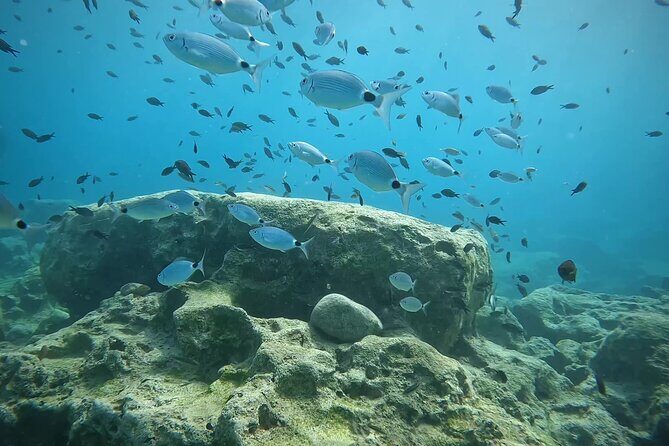 Discover SCUBA Diving with Pissouri Bay Divers - The Sum Up