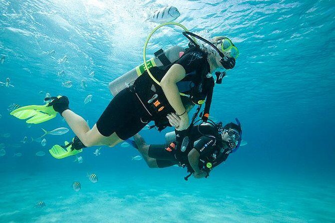 Discover Scuba Diving with two dives in the Ocean in Tenerife with Transfers - Discover Scuba Diving with Two Dives in Tenerife with Transfers