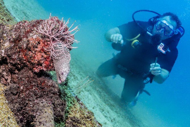 Discover Scuba experience at Las Caletas, Puerto Vallarta - An Introduction to Puerto Vallarta’s Underwater Wonders
