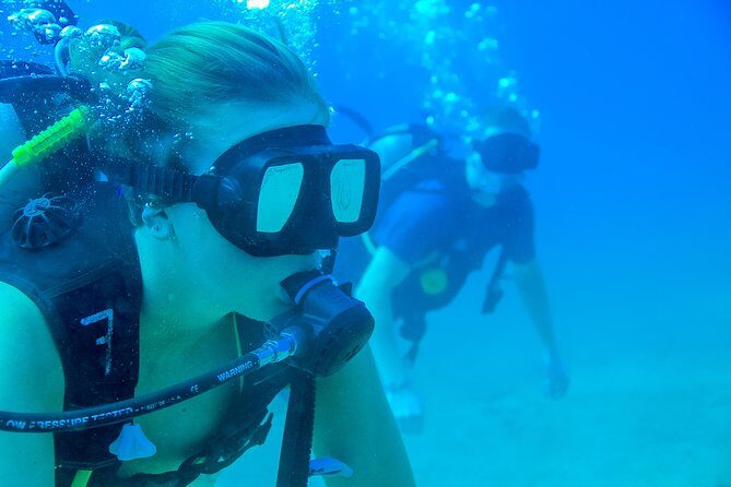 Discover Scuba experience at Las Caletas, Puerto Vallarta - What’s Included and What to Keep in Mind
