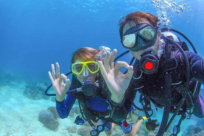 Discover Scuba experience at Las Caletas, Puerto Vallarta - Authentic Experiences and Guest Insights
