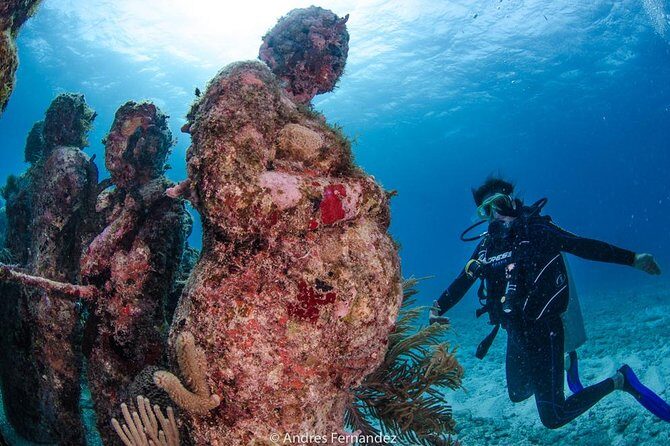 Discover scuba ,MUSA and Manchones reef dive without license - The Experience from Reviewers’ Perspectives