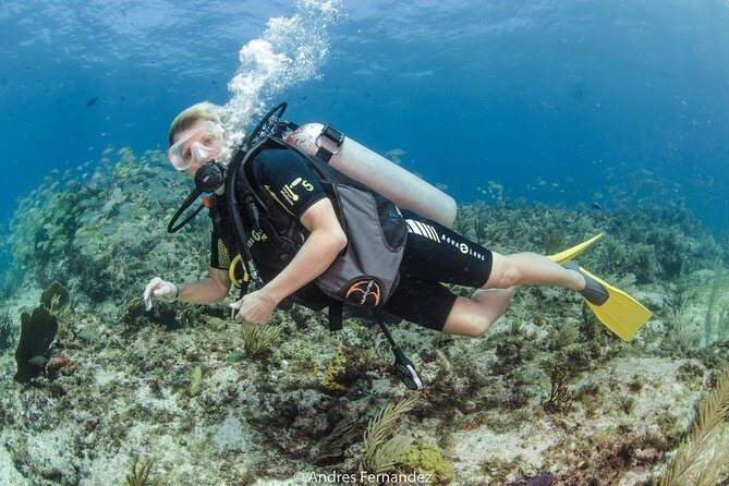 Discover scuba ,MUSA and Manchones reef dive without license - Practical Tips for Your Dive Adventure