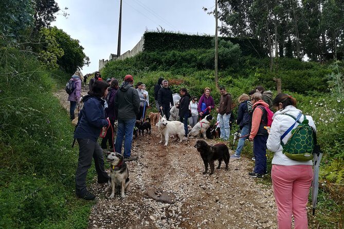 Discover Sintra's Hidden Trails: A Unique Hiking Experience - An Adventure Beyond the Bustling Crowds