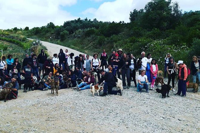 Discover Sintra's Hidden Trails: A Unique Hiking Experience - The Sum Up