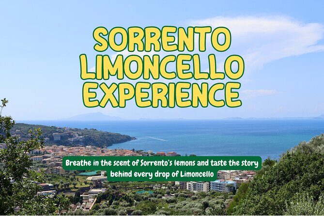 Discover Sorrento through lemons and olive trees - Key Points