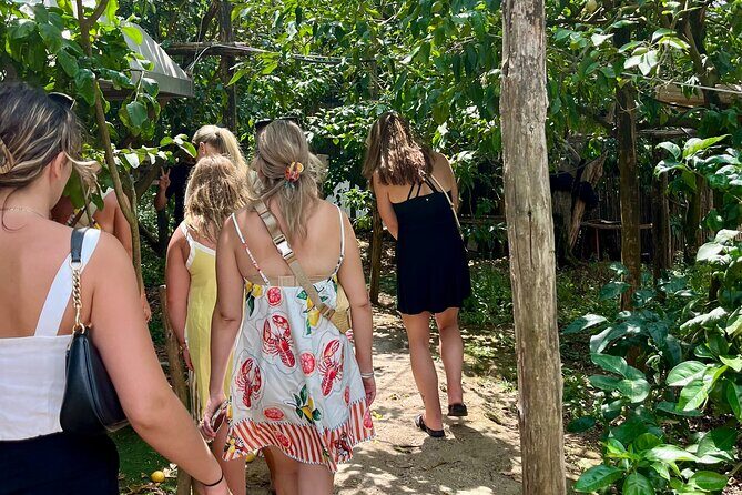 Discover Sorrento through lemons and olive trees - Who Should Book This Tour?