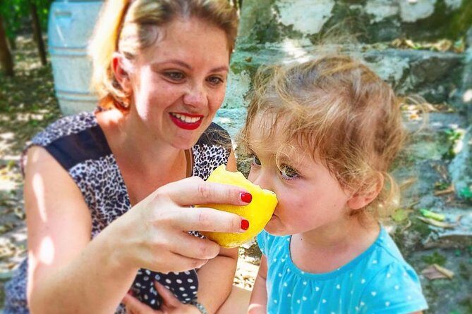 Discover Sorrento with food tasting and walking Tour - The Itinerary in Detail