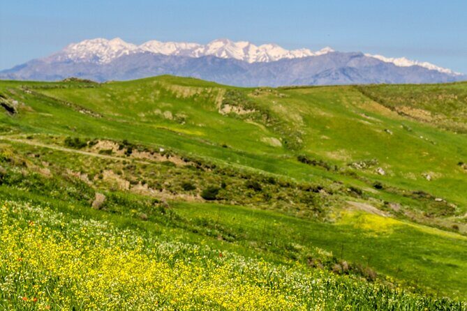 Discover South Crete  Rethymno - What Makes This Tour Stand Out?