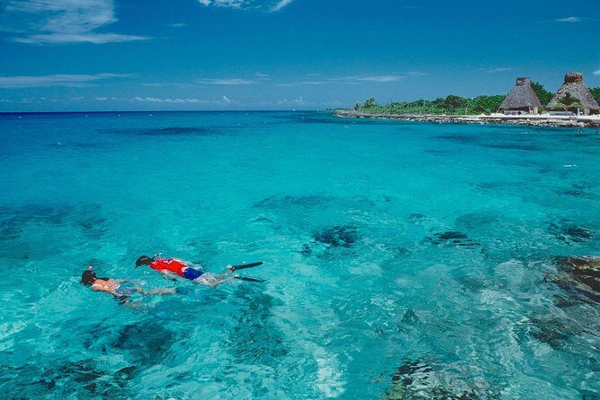 Discover starfish, swim and snorkel at El Cielo Cozumel Reef - What Past Participants Say