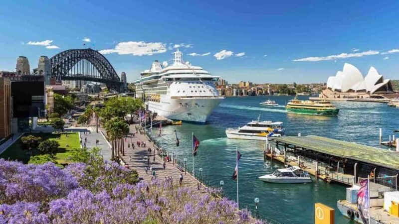 Discover Sydney - Private walking tour - Practicalities and Value