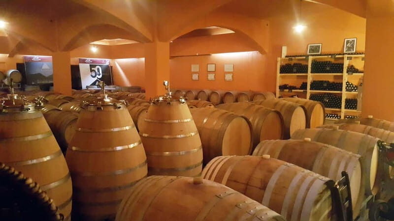 Discover Taste of Crete: Guided Winery Tour and Tastings - FAQ