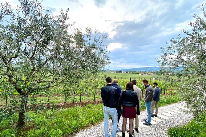Discover the Amarone wine: 1 winery with delicious food pairing - Authenticity and Personal Interaction  