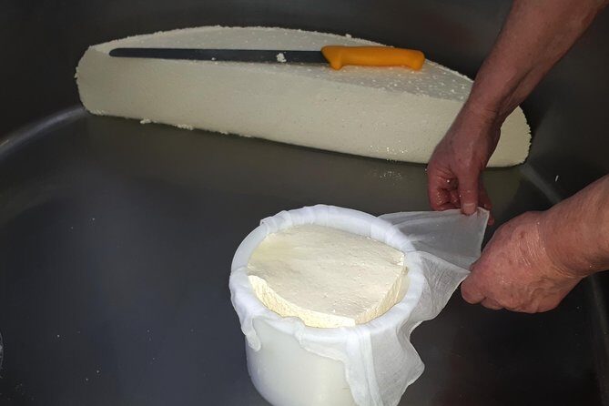 Discover the Art of Idiazabal Cheese in the Basque Country - The Practicalities: What to Expect and Considerations
