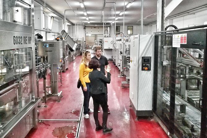 Discover the best cellars of Salento - An In-Depth Look at the Salento Cellar Tour