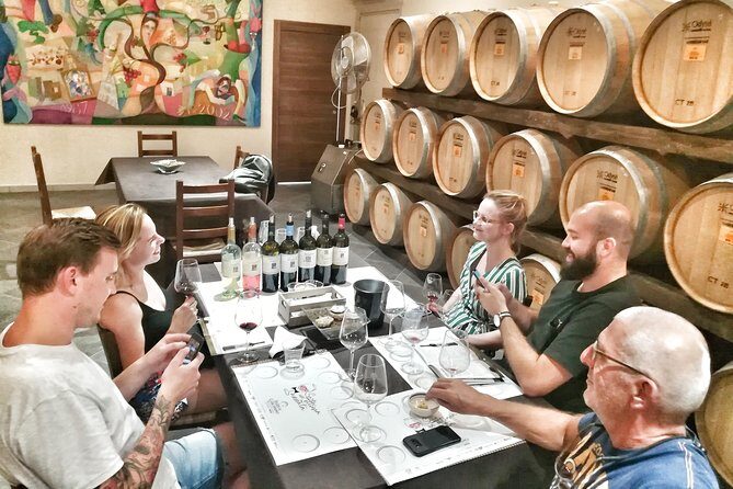 Discover the best cellars of Salento - Final Thoughts