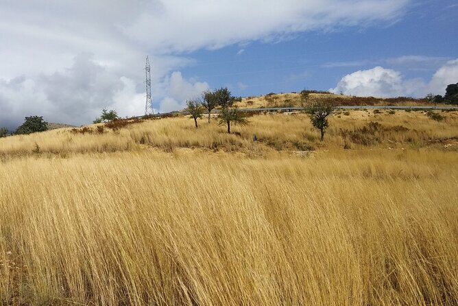 Discover the Best of Albania: 7 Days of Highlights & Hidden Gems - Who Will Love This Tour?