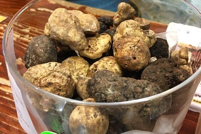 Discover the Essence of Pula: Private Tour with a Local Pro - Why Choose This Tour?