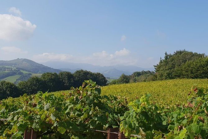 Discover the Essence of Txakoli Wine from San Sebastian - Who Should Book This Tour?