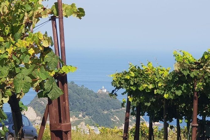 Discover the Essence of Txakoli Wine from San Sebastian - Final Thoughts