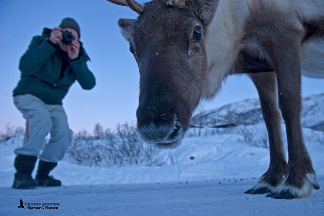 Discover the Fjords of Kvaloya - a roadtrip along fjords and fishing villages - Final Thoughts