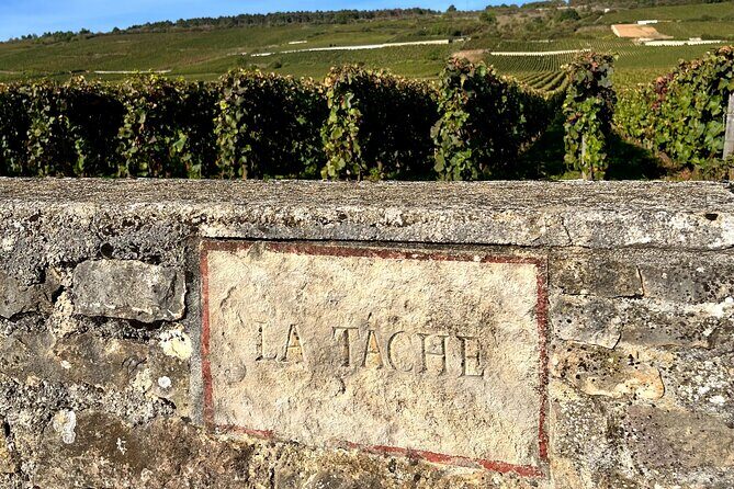 Discover the great wines of Vosne-Romanée - Key Points