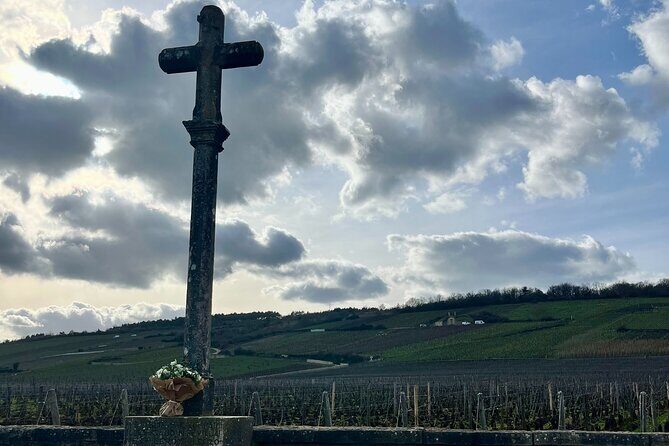 Discover the great wines of Vosne-Romanée - Why Choose This Tour?