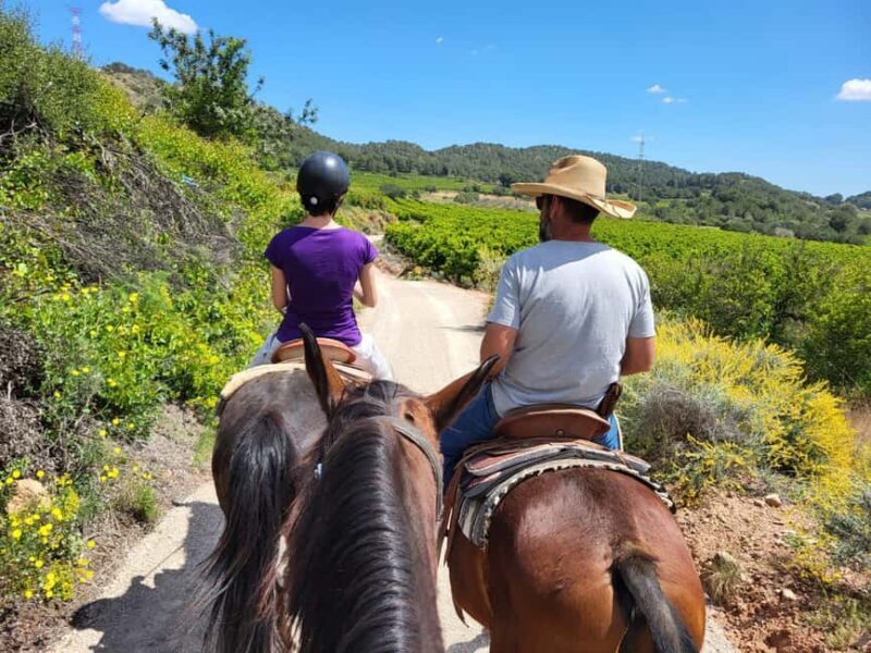 Discover the interior of Valencia on horseback - An Authentic Ride Through Valencian Nature