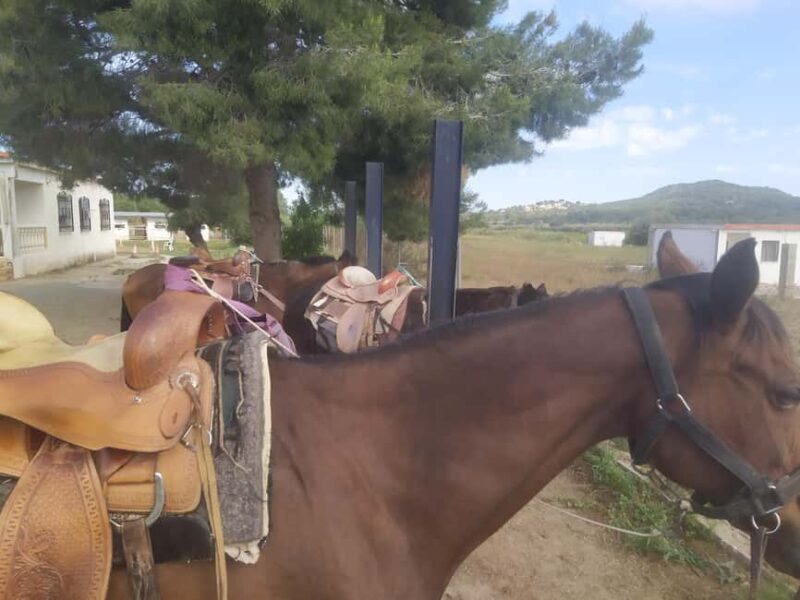 Discover the interior of Valencia on horseback - Logistics and Practicalities