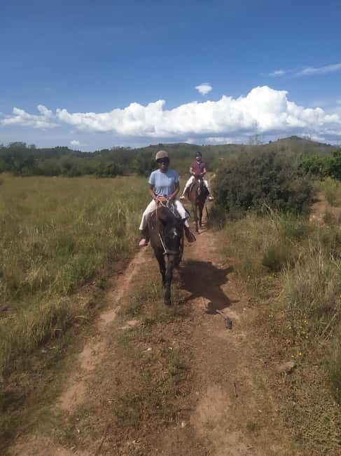 Discover the interior of Valencia on horseback - Final Words