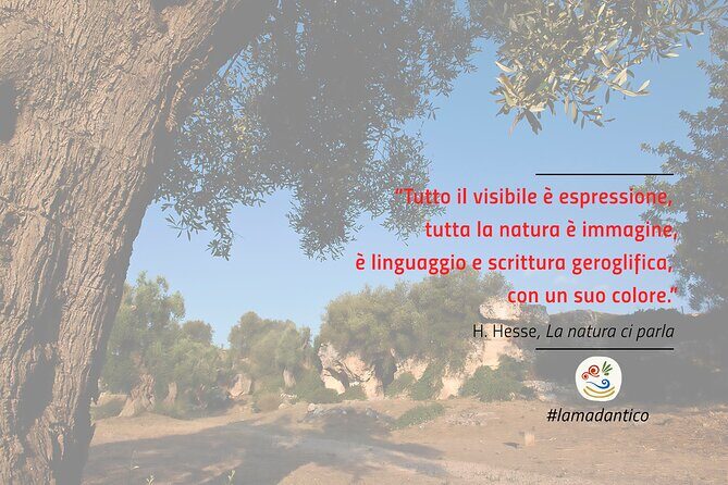 Discover the Lama D'Antico Rock Park and its Rock Churches - Is This Tour Right for You?