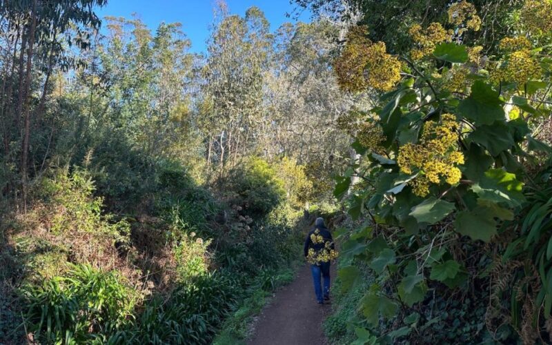 Discover the Paradise Valley - a quick escape for Everyone - Discover the Paradise Valley - a quick escape for Everyone