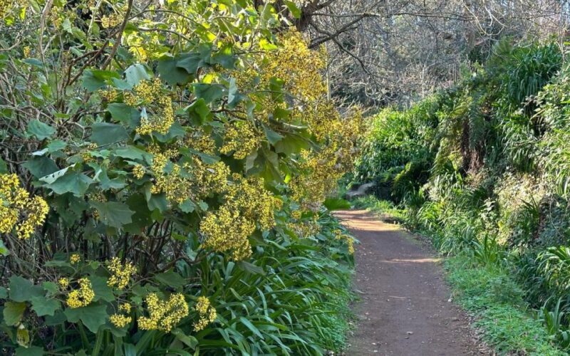 Discover the Paradise Valley - a quick escape for Everyone - Key Points