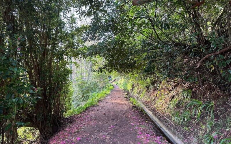 Discover the Paradise Valley - a quick escape for Everyone - What’s Included & Additional Info